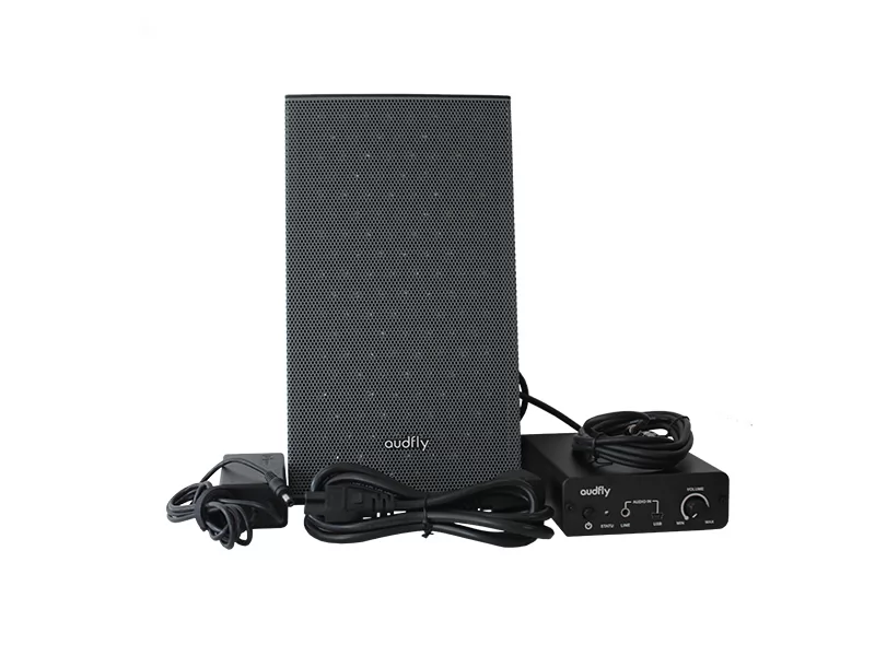 What makes a sound source directional?