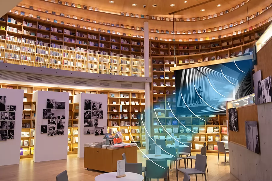 Directional Speakers for Library, Directional Speaker Company - Audfly